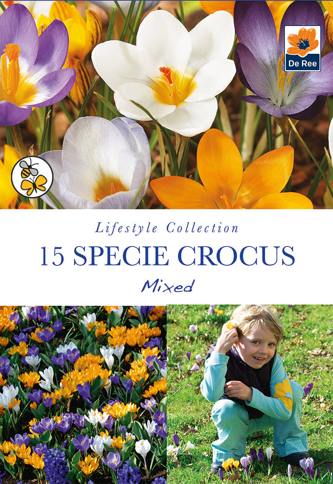 Specie Crocus Mixed (15 Bulbs) – Lincspplants